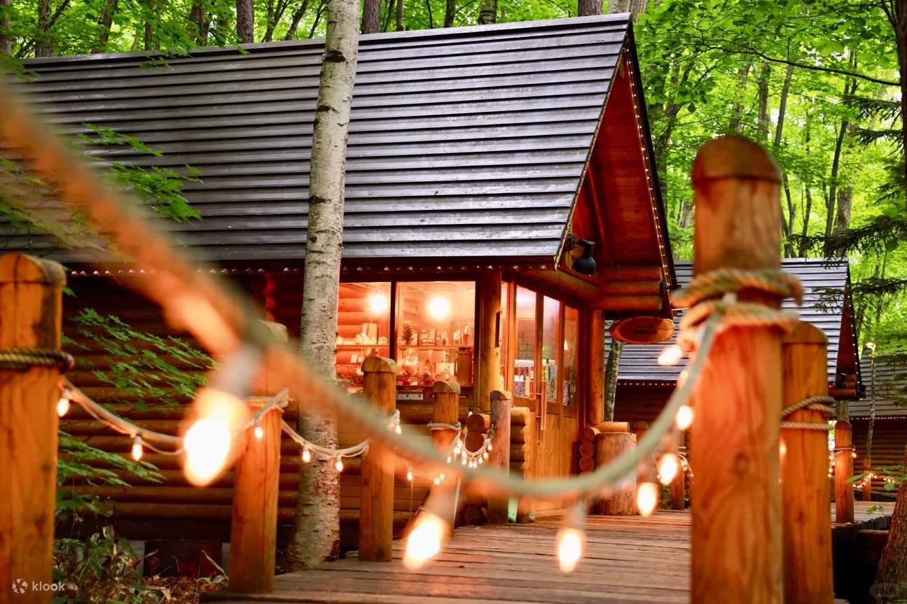 [Summer Only] One-Day Tour in Biei and Furano, Hokkaido｜Nanabishi Tree ...